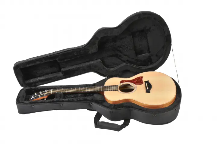 SKB Cases 1SKB-SCGSM Rugged Soft Transport Case for Taylor GS Mini ...