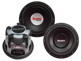 Boston Acoustics 10" Subwoofers
