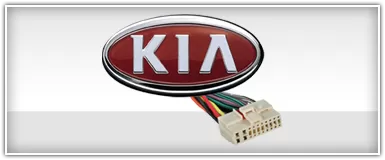 Kia OEM Harness
