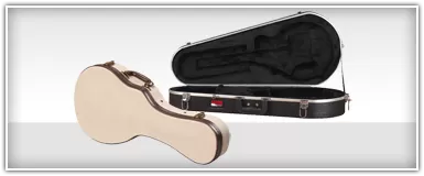 Mandolin Cases
