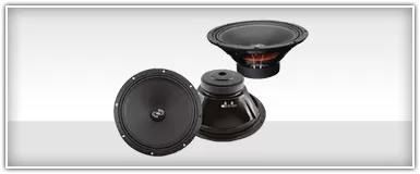 Pro Audio 12" Replacement Speakers